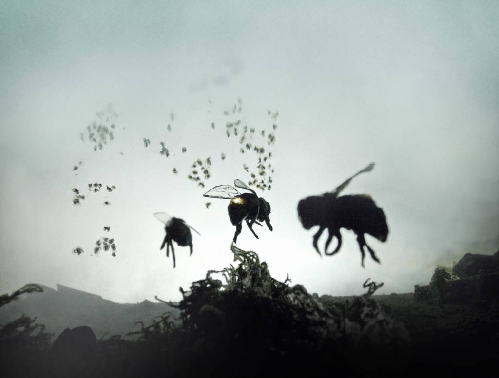 Vanishing of the Bees - Films for the Earth