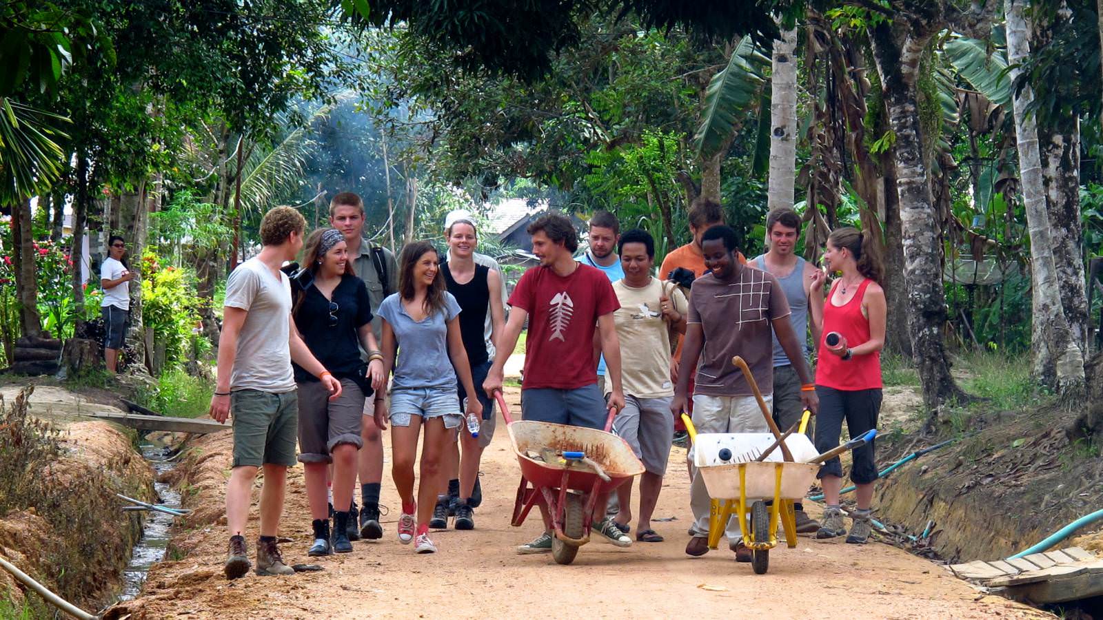 Rise of the Eco-Warriors - Films for the Earth