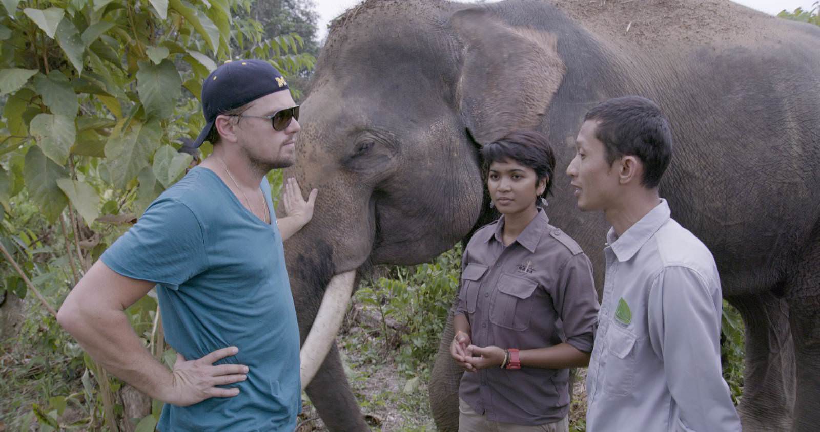 Before the Flood - Films for the Earth