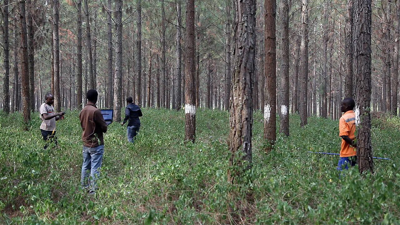 Banking Nature - Films for the Earth