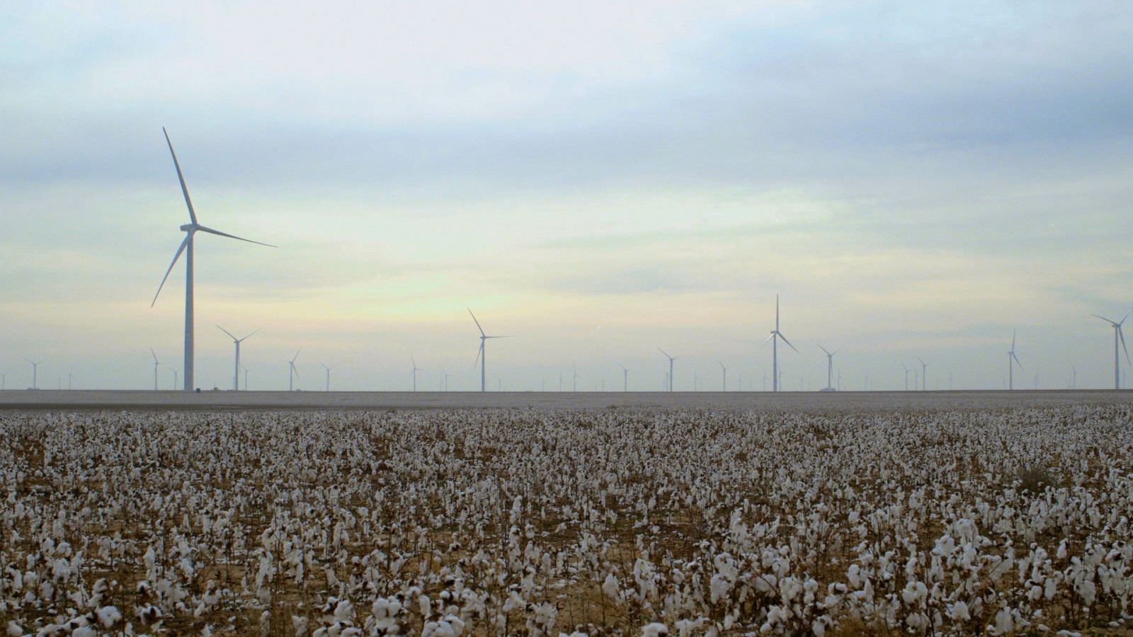 The True Cost - Filme für die Erde