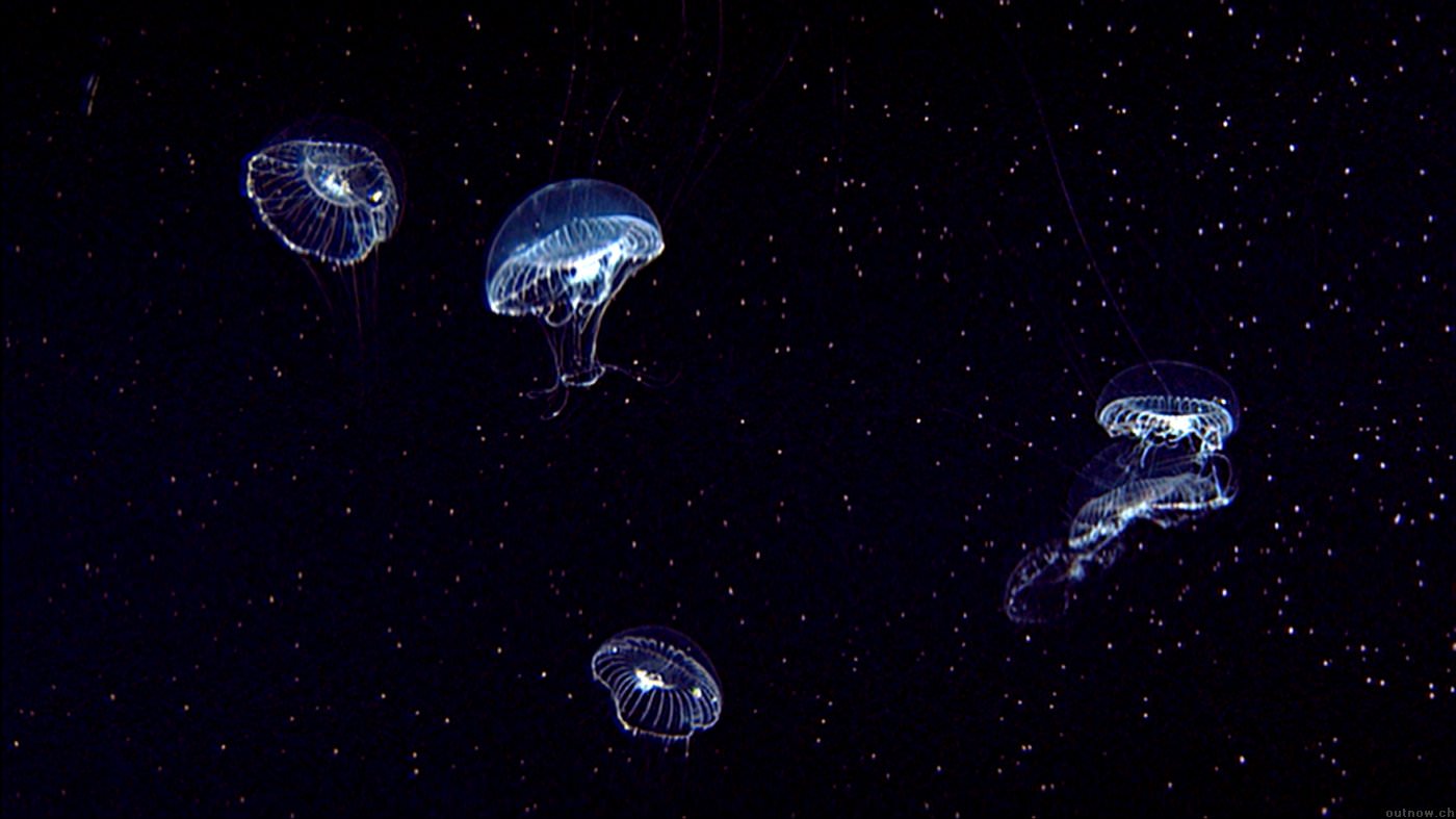 Deep Blue - Films for the Earth