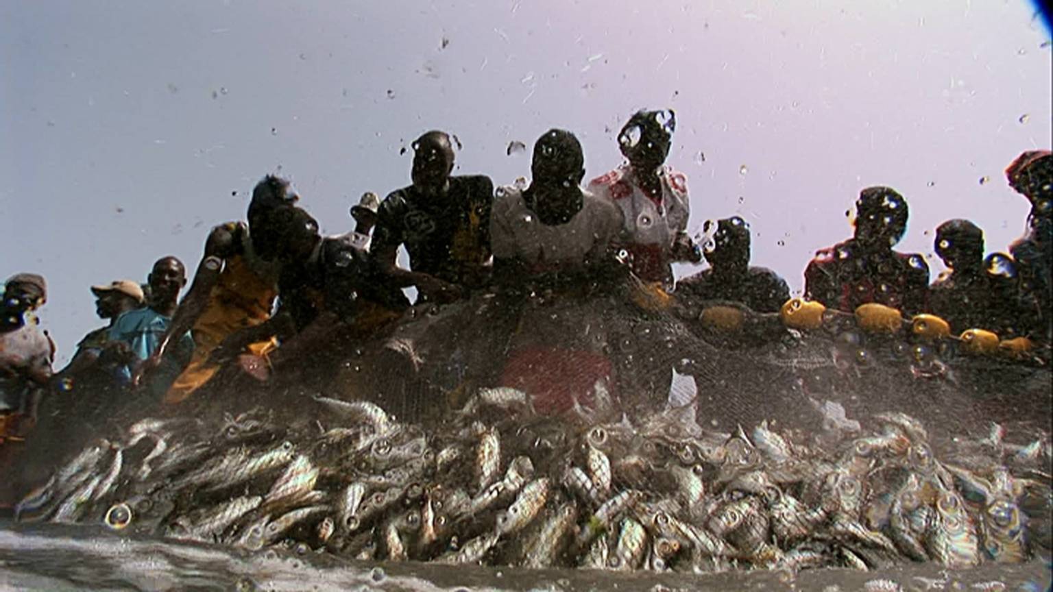 The End of the Line - Films for the Earth