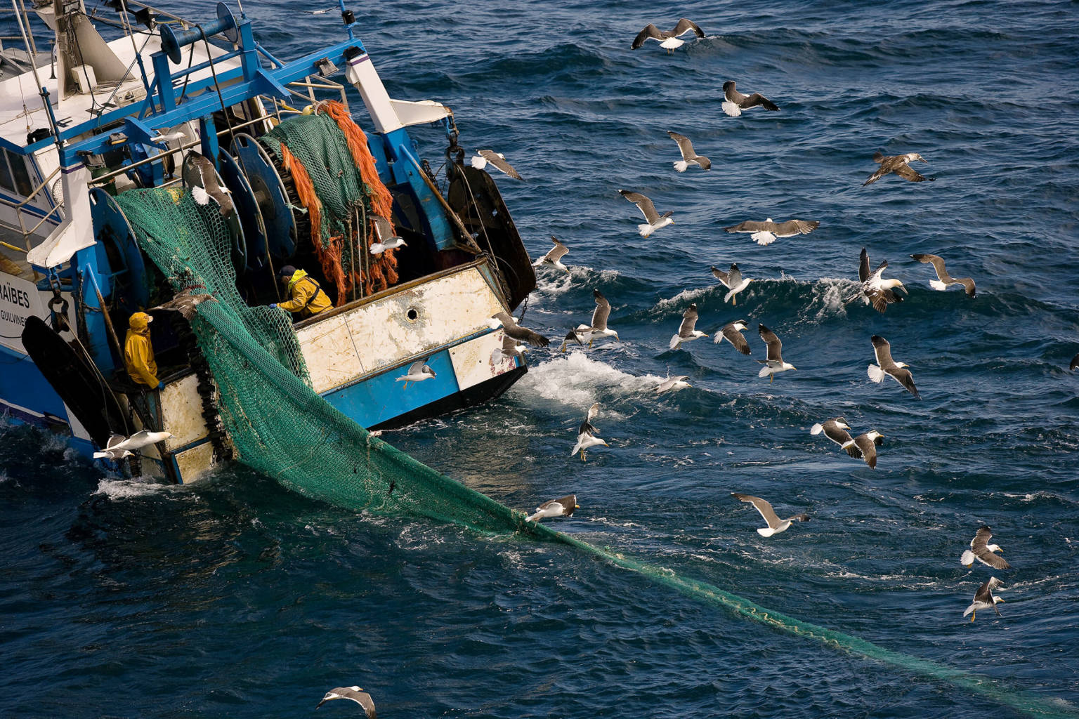 Planet Ocean - Films for the Earth