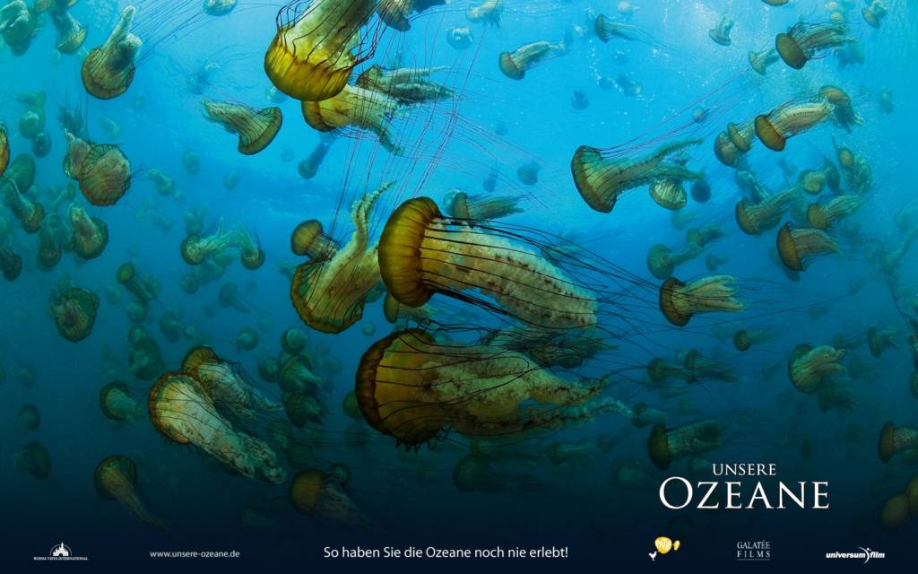 Oceans - Films for the Earth