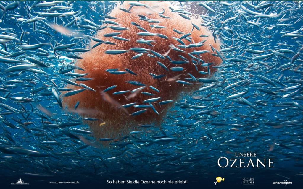 Oceans - Films for the Earth