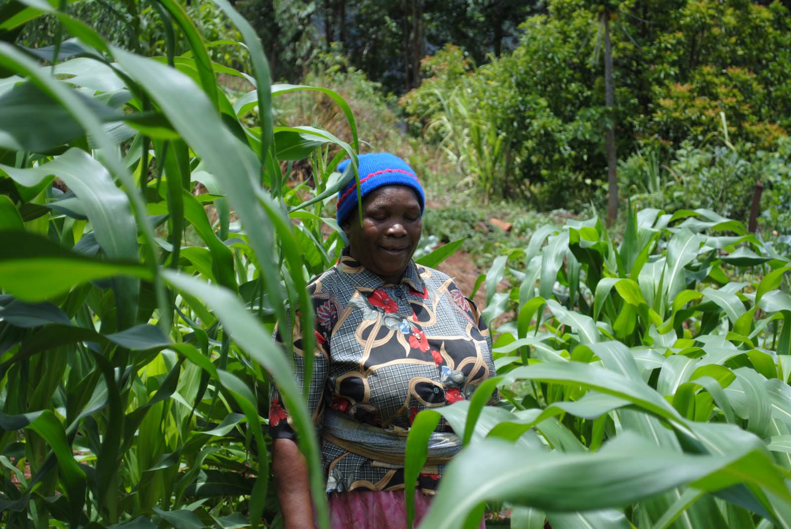 The Chikukwa Project - Films for the Earth