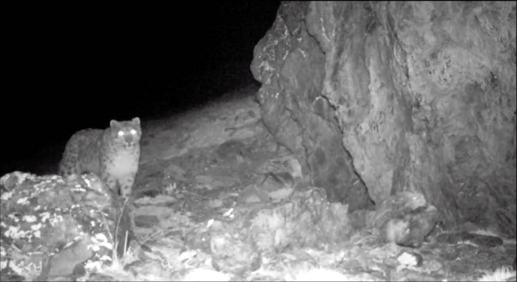 Ghost Of The Mountains - Films for the Earth