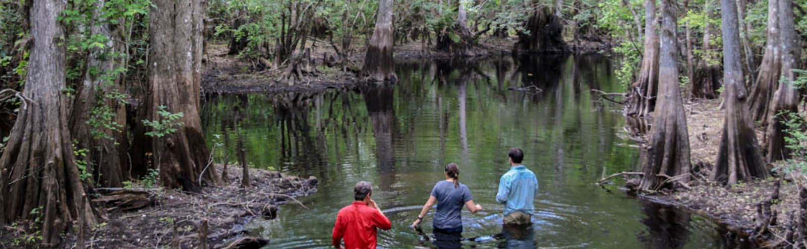The Last Green Thread - Filme für die Erde