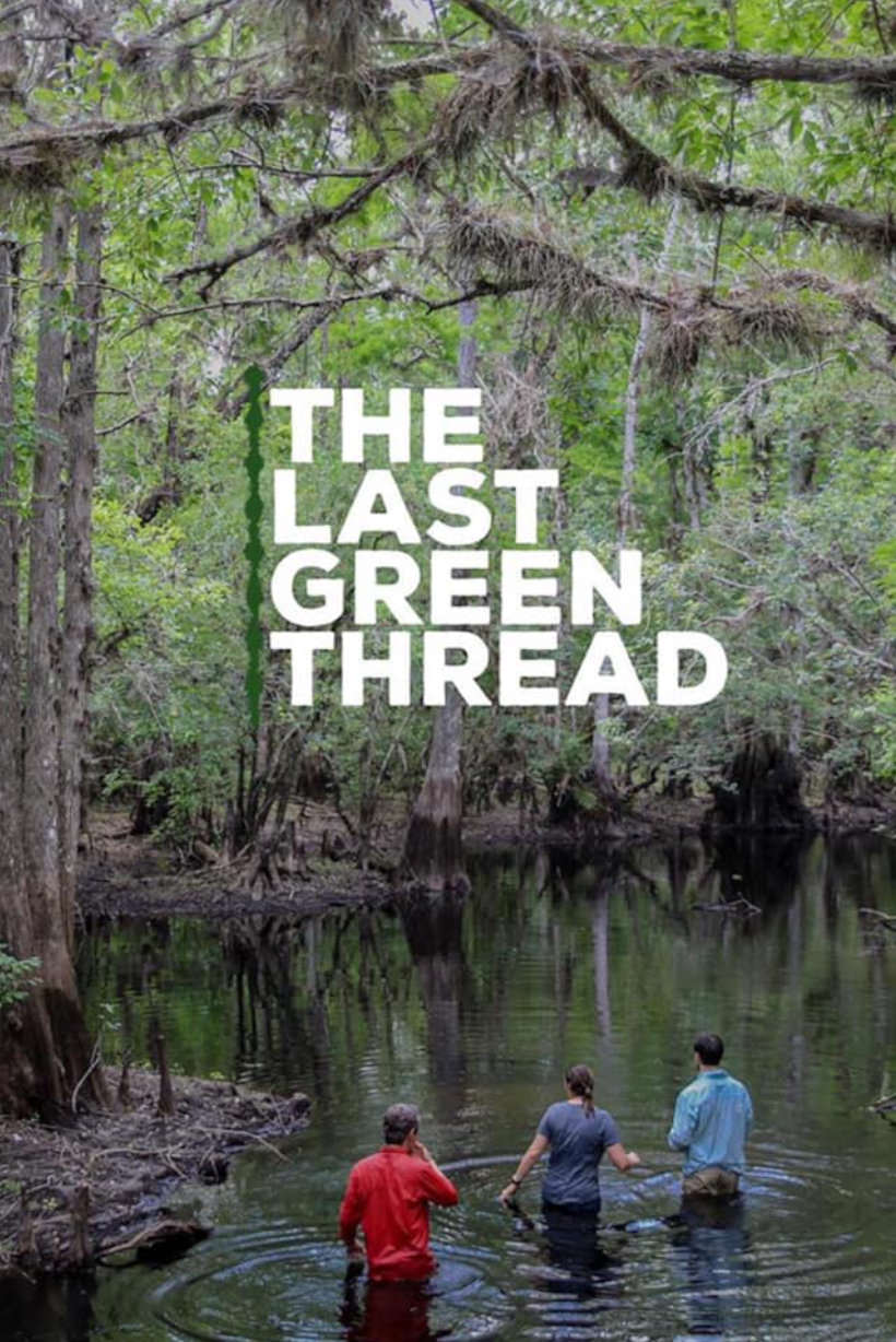 Filme - Filme für die Erde