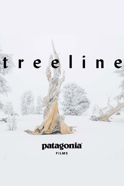 Intelligent Trees - Films for the Earth